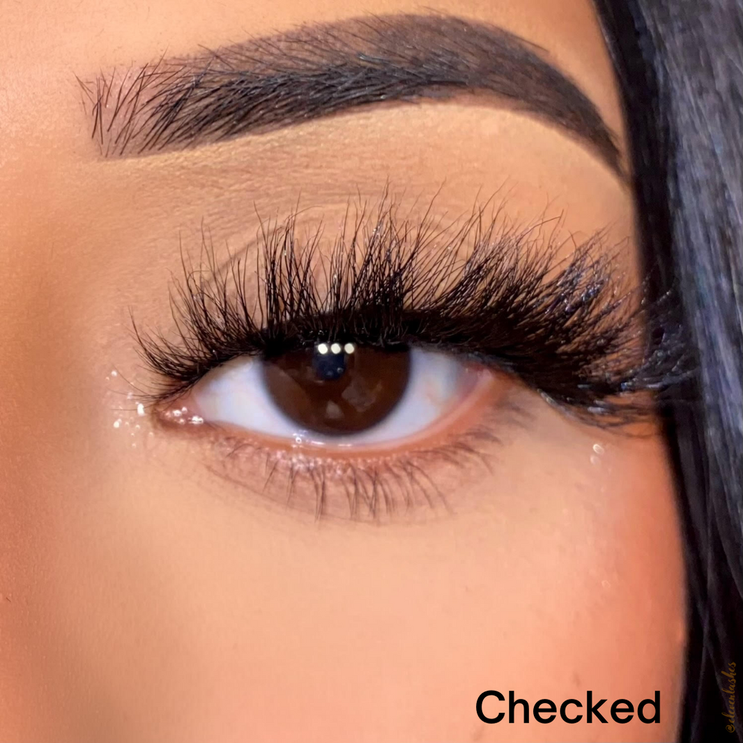 All Lashes – Eleven Lashes