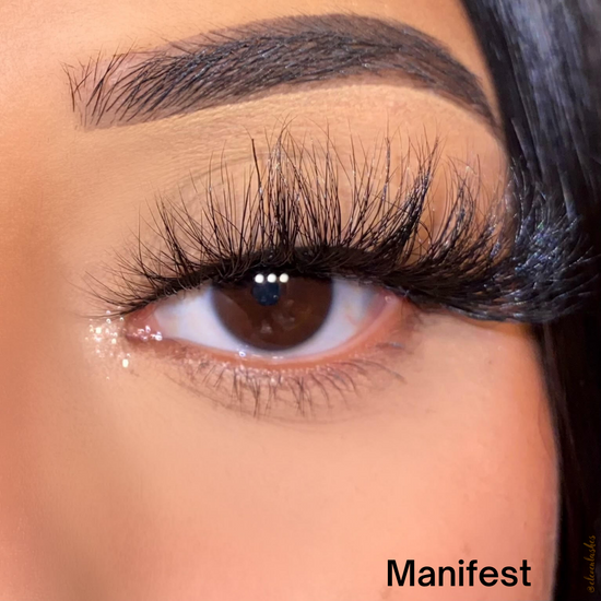 Manifest – Eleven Lashes